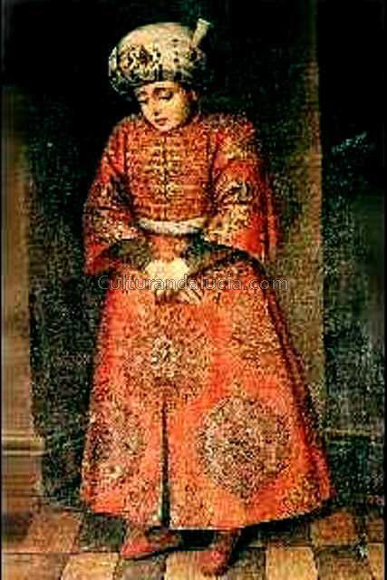 Boabdil, rey del sultanato de Granada: ¿Víctima de su destino o sicario ...